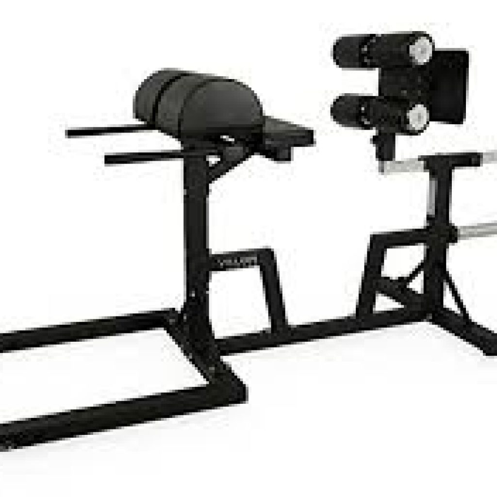 Best Glute Ham Developers for Your Home - Garage Gym Builder