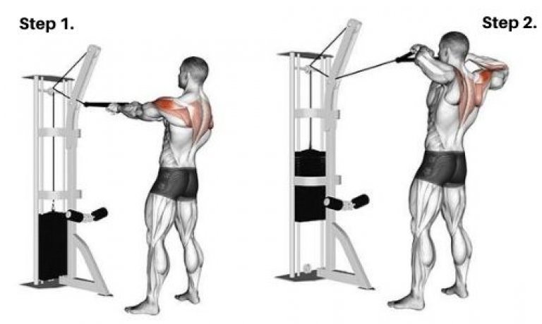 How To Do Face Pulls: Proper Form & Common Mistakes | GGB