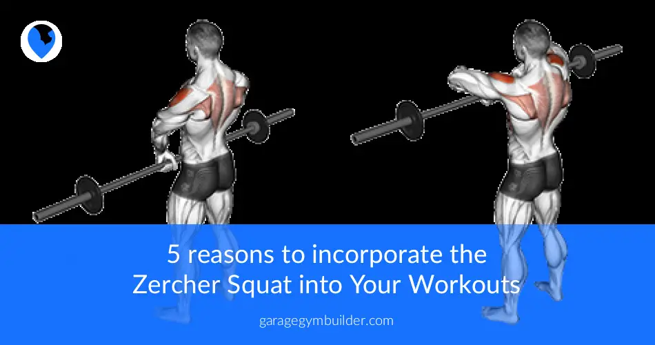 5 reasons to incorporate Zercher Squat into Your Workouts